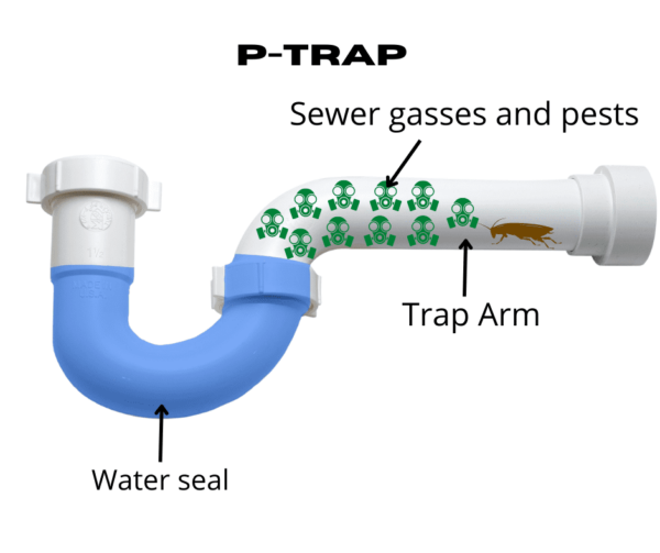 What is the Purpose of a P-Trap? - A House on a Rock
